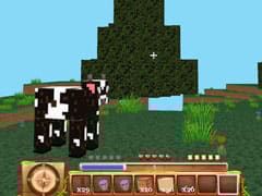 World Craft - Play World Craft Online on CarGames.Com