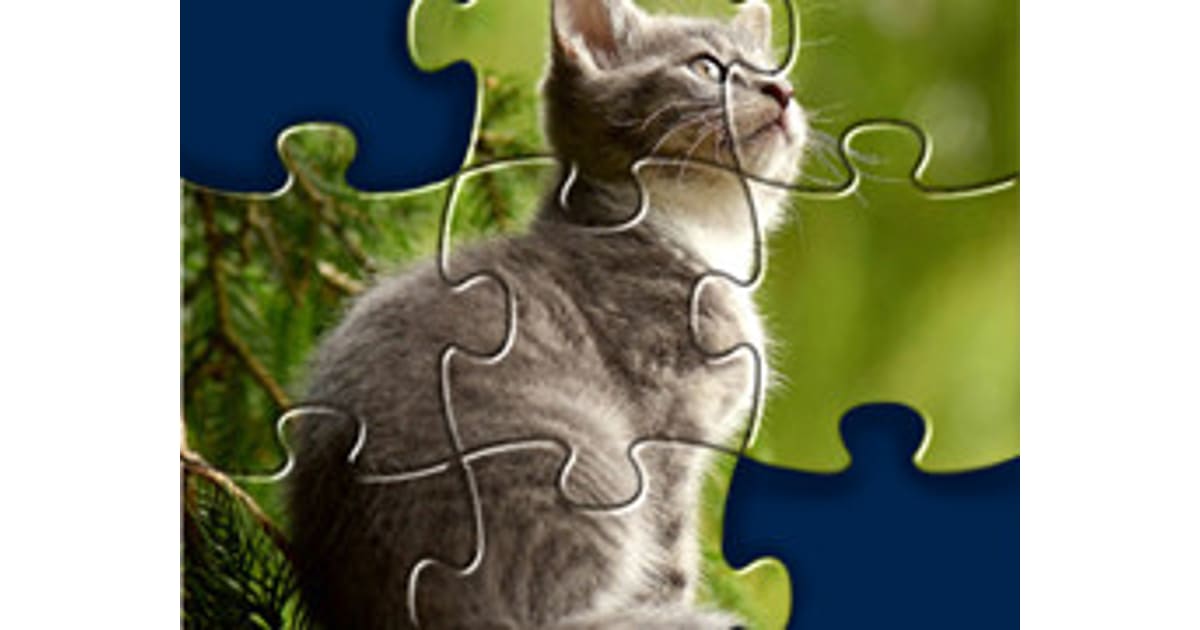 Animal Shape Puzzle - Play Animal Shape Puzzle Online on CarGames.Com
