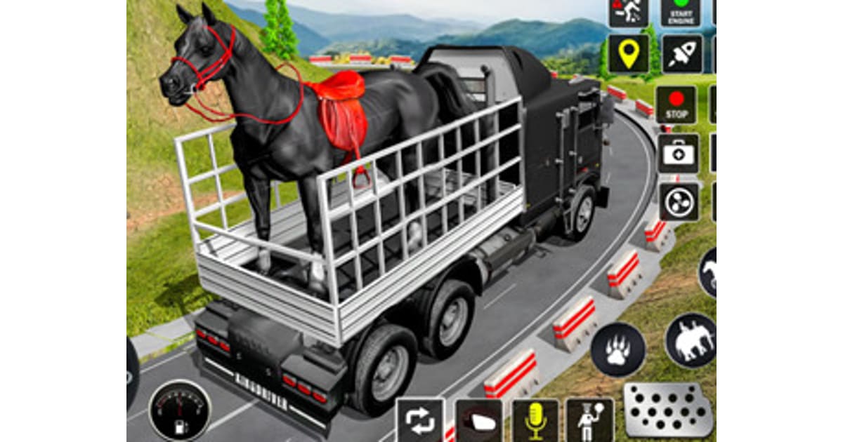 Animal Transporter Truck - Transport Driving