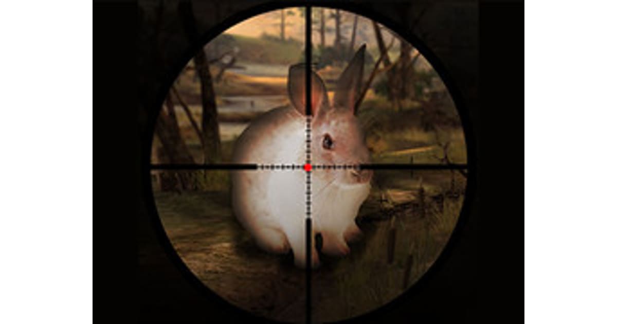 Classical Rabbit Hunting - Play The Game Online on CarGames.Com