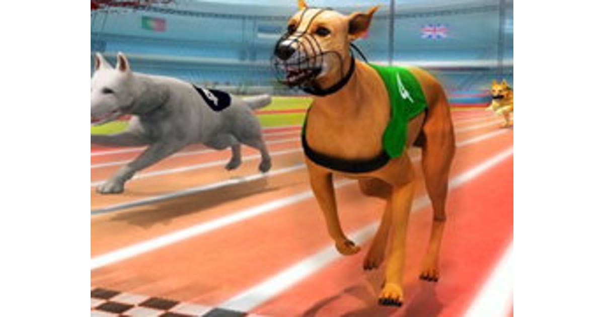 Crazy Dog Racing Fever - Play The Game Online on CarGames.Com