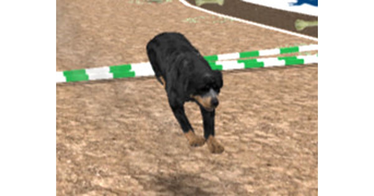 Dog Racing Simulator 3d - Play The Game Online on CarGames.Com