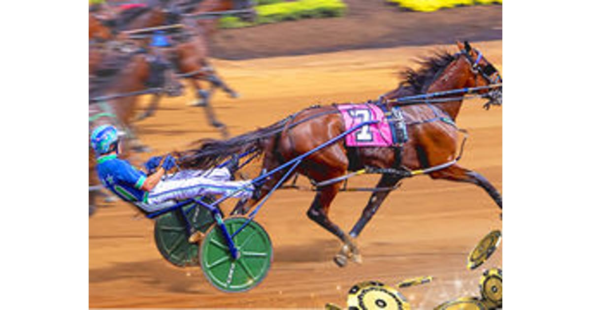 Harness Racing - Play Free Horse Race Game